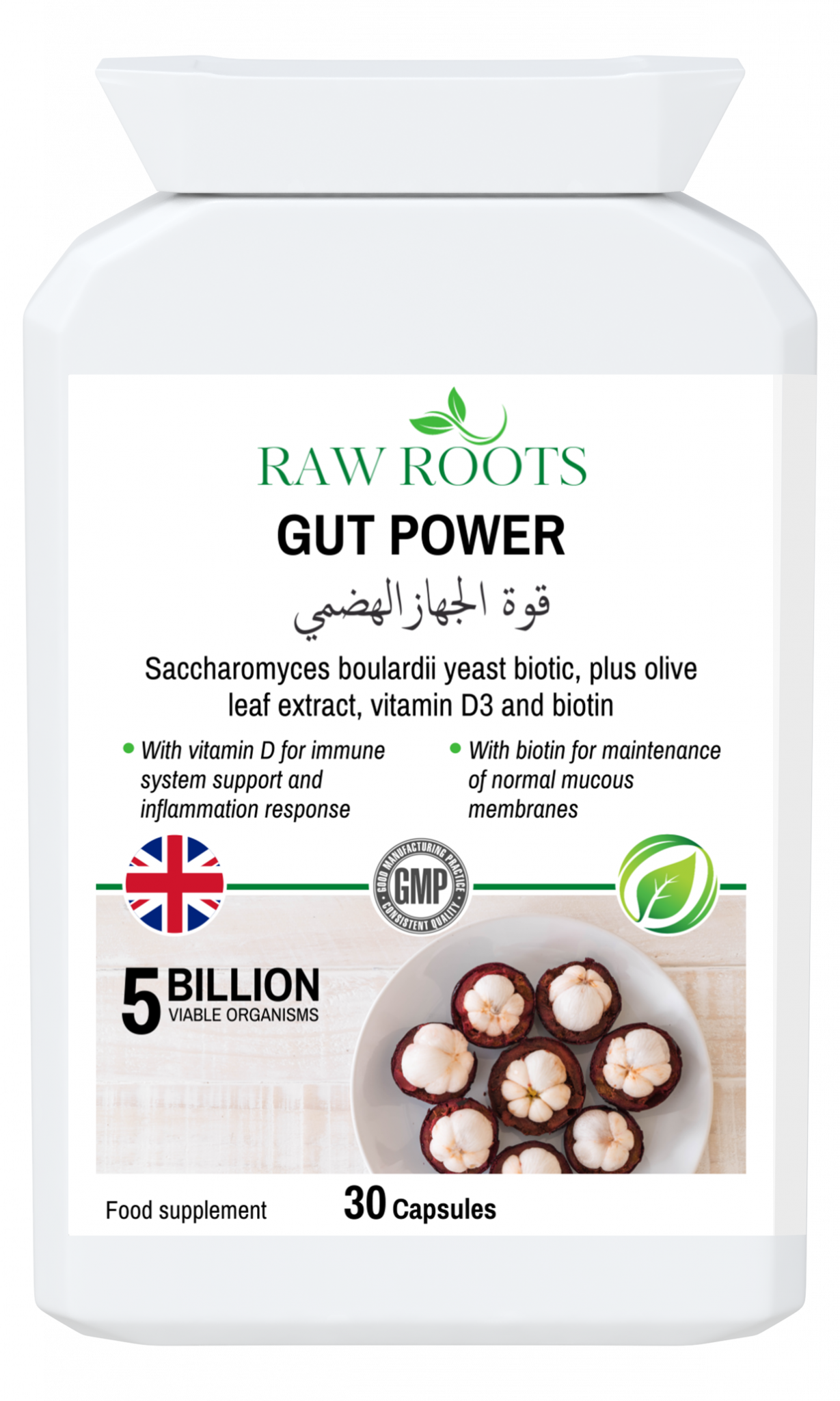 GUT POWER – Raw Roots